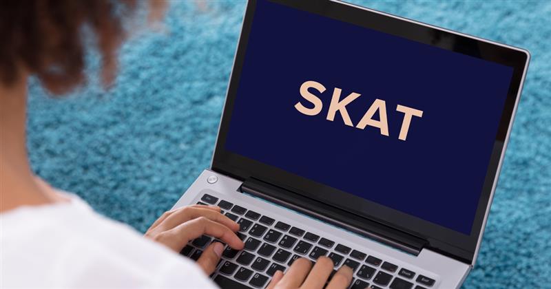 Skat og Moms 2026 - BDO
